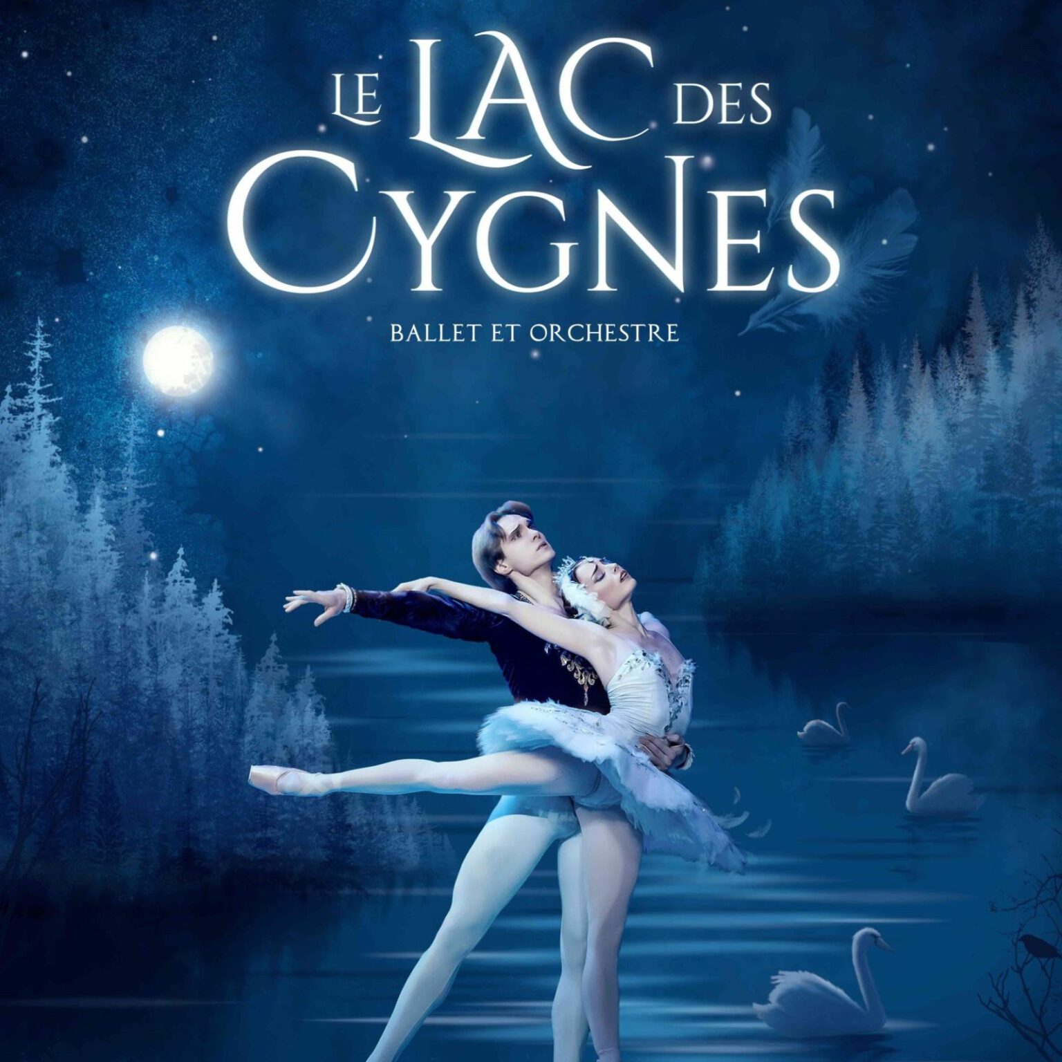 Lac des Cygnes - Zénith de Lille
